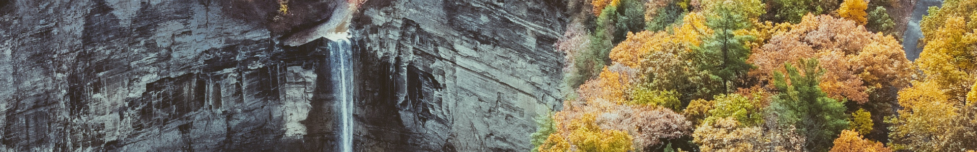 Abogado de Lesiones Personales en Utica - The Carrión Law Firm